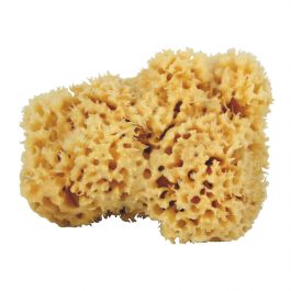 Eponge naturelle - Docksoap® - Bien être de bord